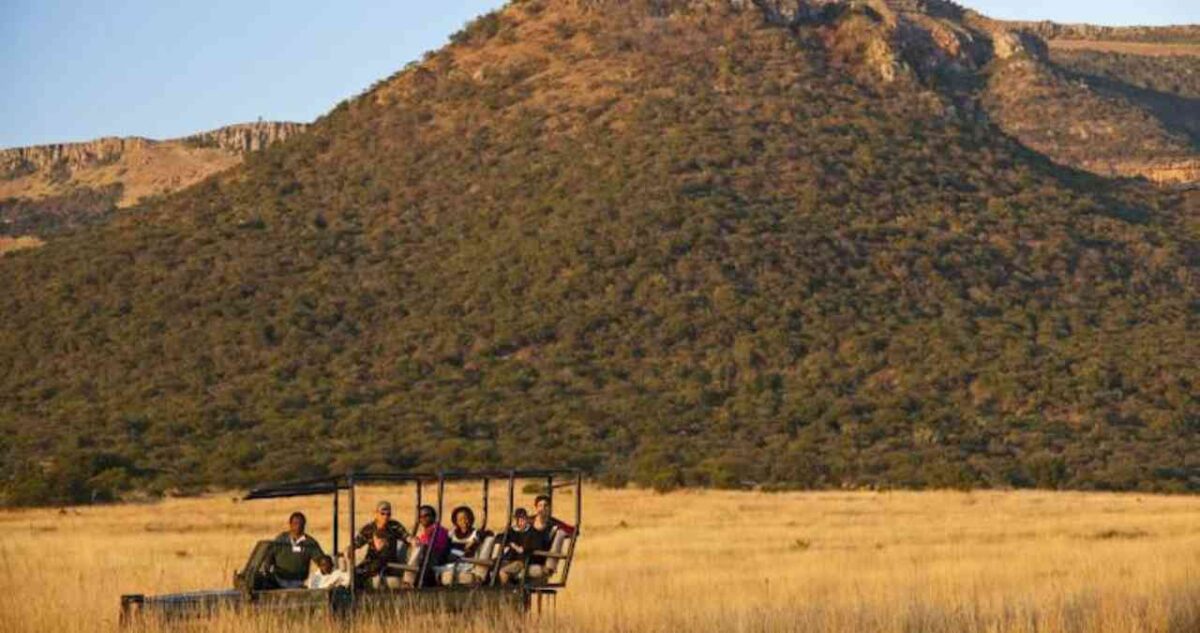 Top 10 Game Reserves Near Durban in 2023