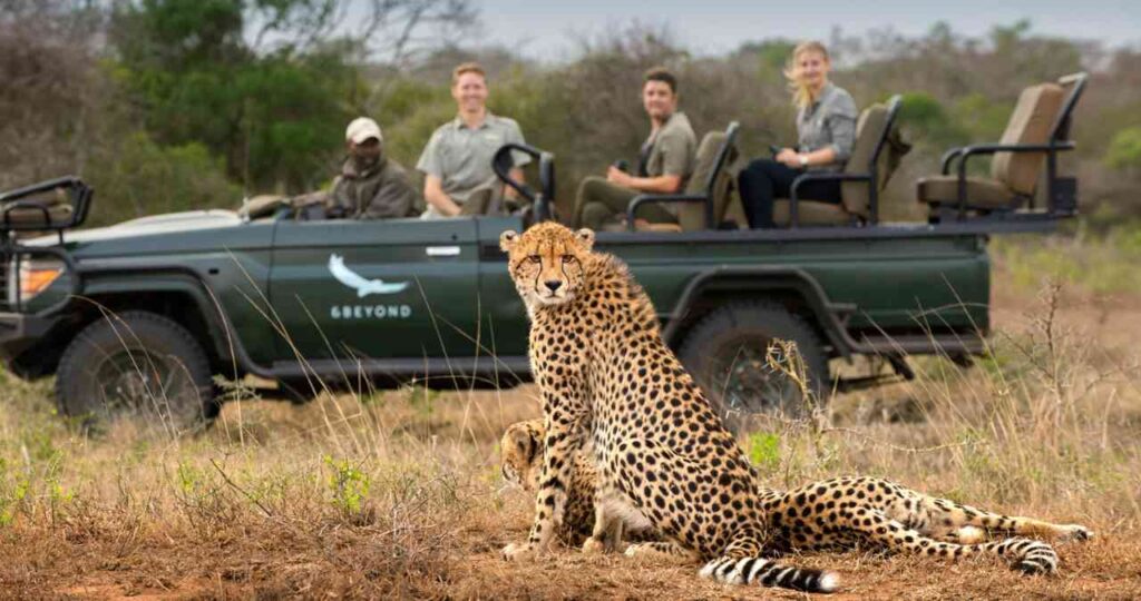 Top 10 Game Reserves Near Durban in 2023