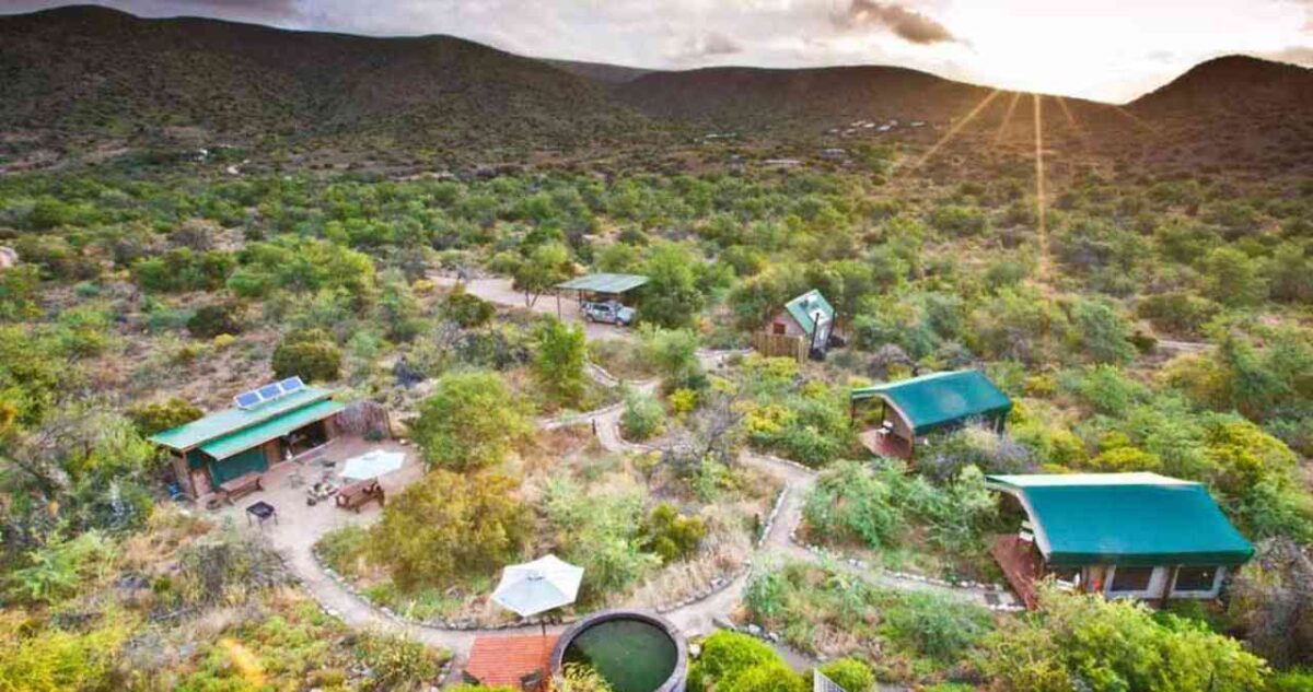 25 Nature Reserves Near Cape Town | Africa Incoming