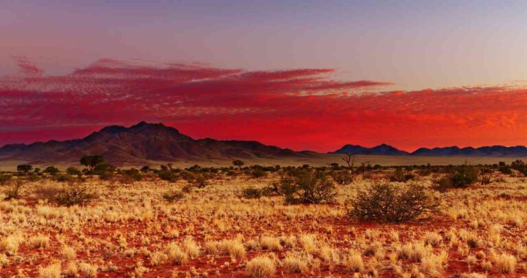 23 Best Deserts in Africa: Facts, Activities, Complete Guide
