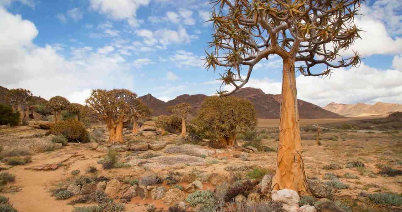 23 Best Deserts in Africa: Facts, Activities, Complete Guide