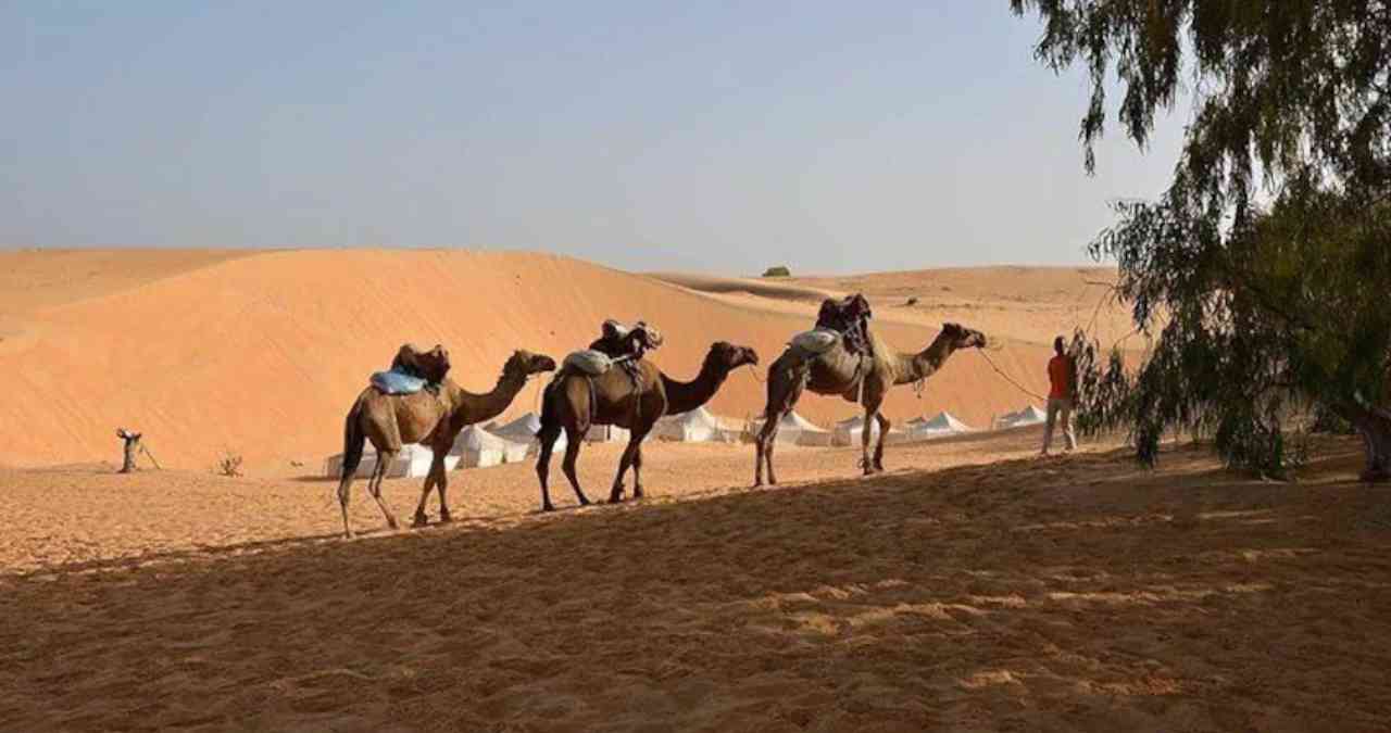 23 Best Deserts in Africa: Facts, Activities, Complete Guide