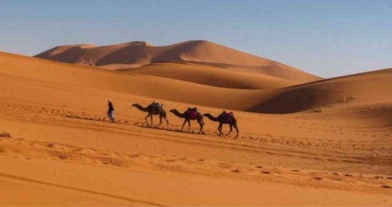 23 Best Deserts in Africa: Facts, Activities, Complete Guide