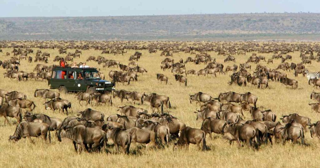 10 Best Safari Parks And Game Reserves Near Nairobi