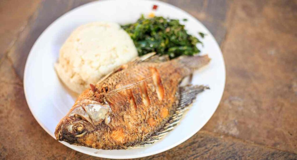 Top 15 Reasons why you should visit Tanzania - AfricaIncoming Blog